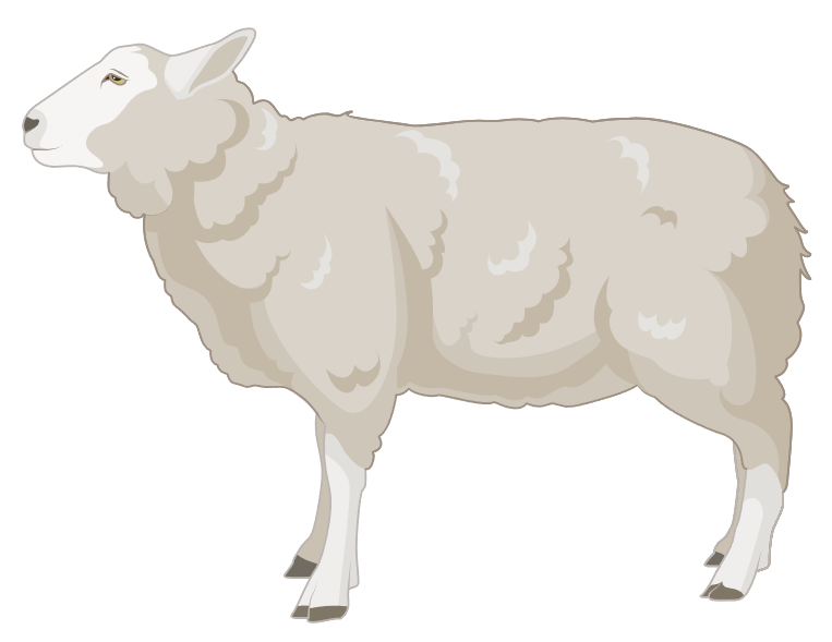 SheepCellMap An intergrated platform for exploring sheep adipose and ...